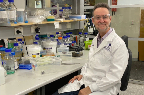 Deadly Spider Venom Used In Groundbreaking Treatment For Heart Attacks ...