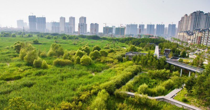 Explained: China's 'Sponge Cities', The Urban Flooding Solution