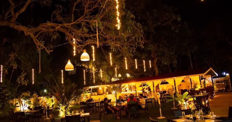 Goa Restaurant Run By Smriti Irani's Daughter Accused Of Obtaining Fraudulent Bar License