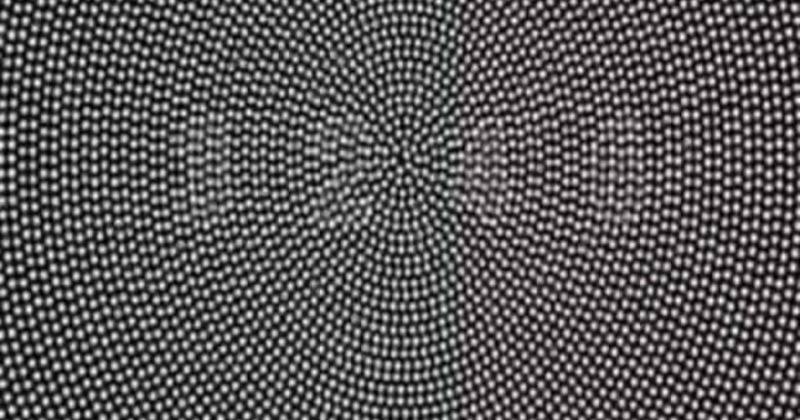 Eyesight Test Optical Illusion: तस्वीर में सबसे पहले कौन से 4 नंबर देखे?