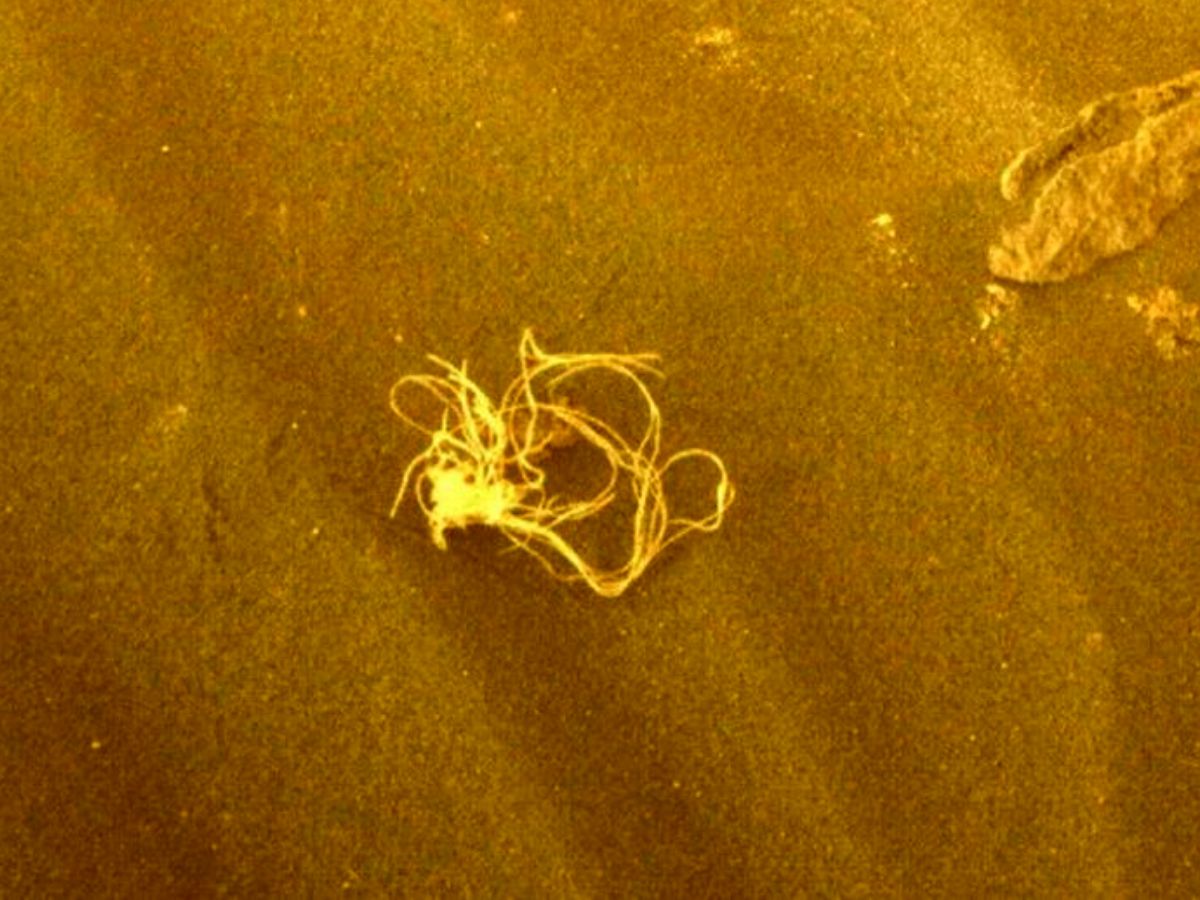 NASA Rover Spots Strange Space Spaghetti On Martian Surface: What Is It?