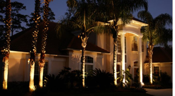 Light Pollution Is Affecting The Rhythms Of Trees, Plants In Cities