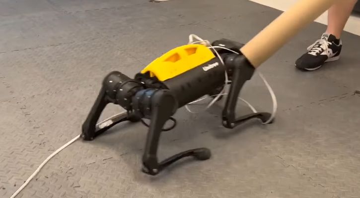 This Robot Dog Taught Itself How To Walk Without Any Assistance