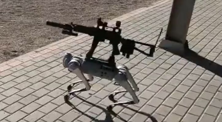 Not Your Average Robo Dog: This One Has A Machine Gun Strapped To Its Back