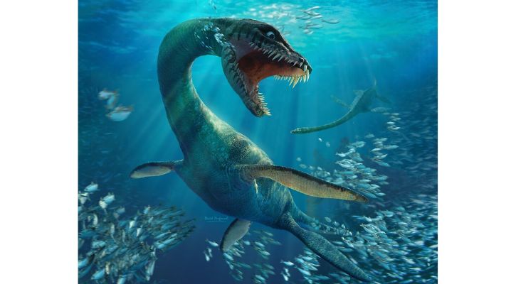 Loch Ness Monster Could Have Been Real, Say UK Experts After Strange ...