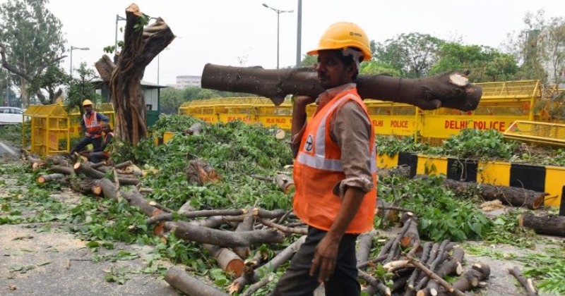 Three Trees Cut Each Hour In Past 3 Years In Delhi 'Not Illegal ...