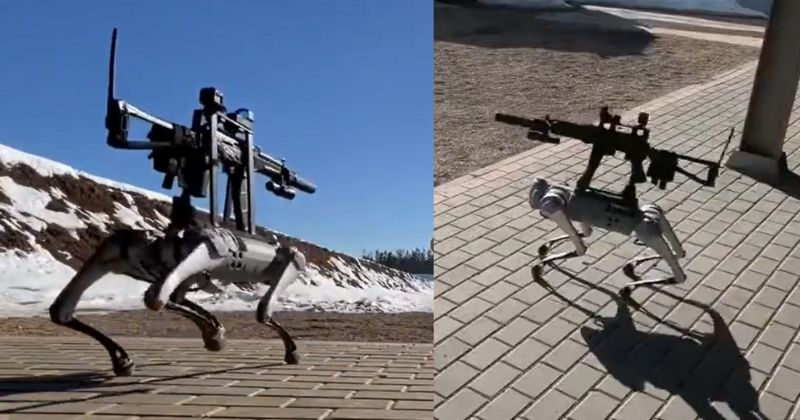 Not Your Average Robo Dog: This One Has A Machine Gun Strapped To Its Back