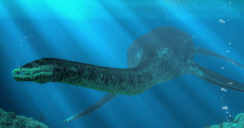 Loch Ness Monster Could Have Been Real, Say UK Experts After Strange ...