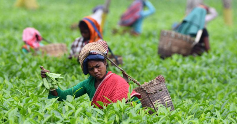 Explained: Why Indian Women's Workforce Participation Is Still ...