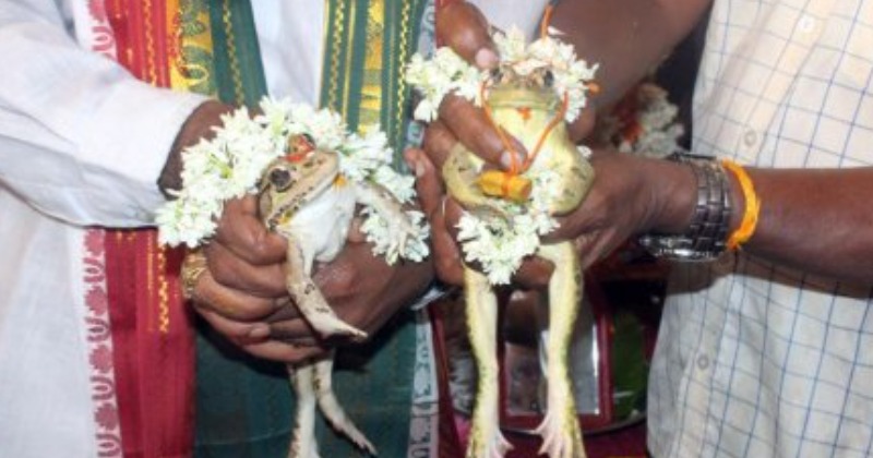 Bizarre Rituals Practised Across India For Rain