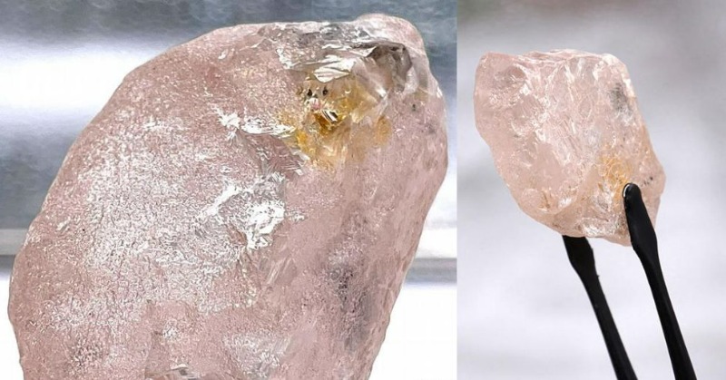 Lulo Rose: 300 वर्षों में पहली बार मिला सबसे बड़ा दुलर्भ गुलाबी हीरा ...