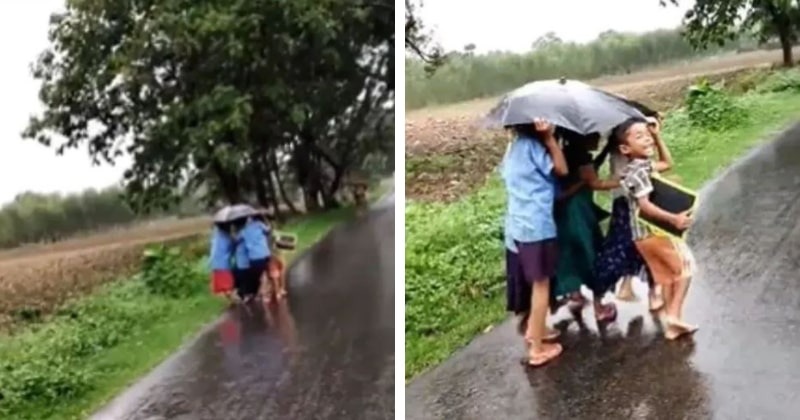 6 Children Share One Umbrella In Rain