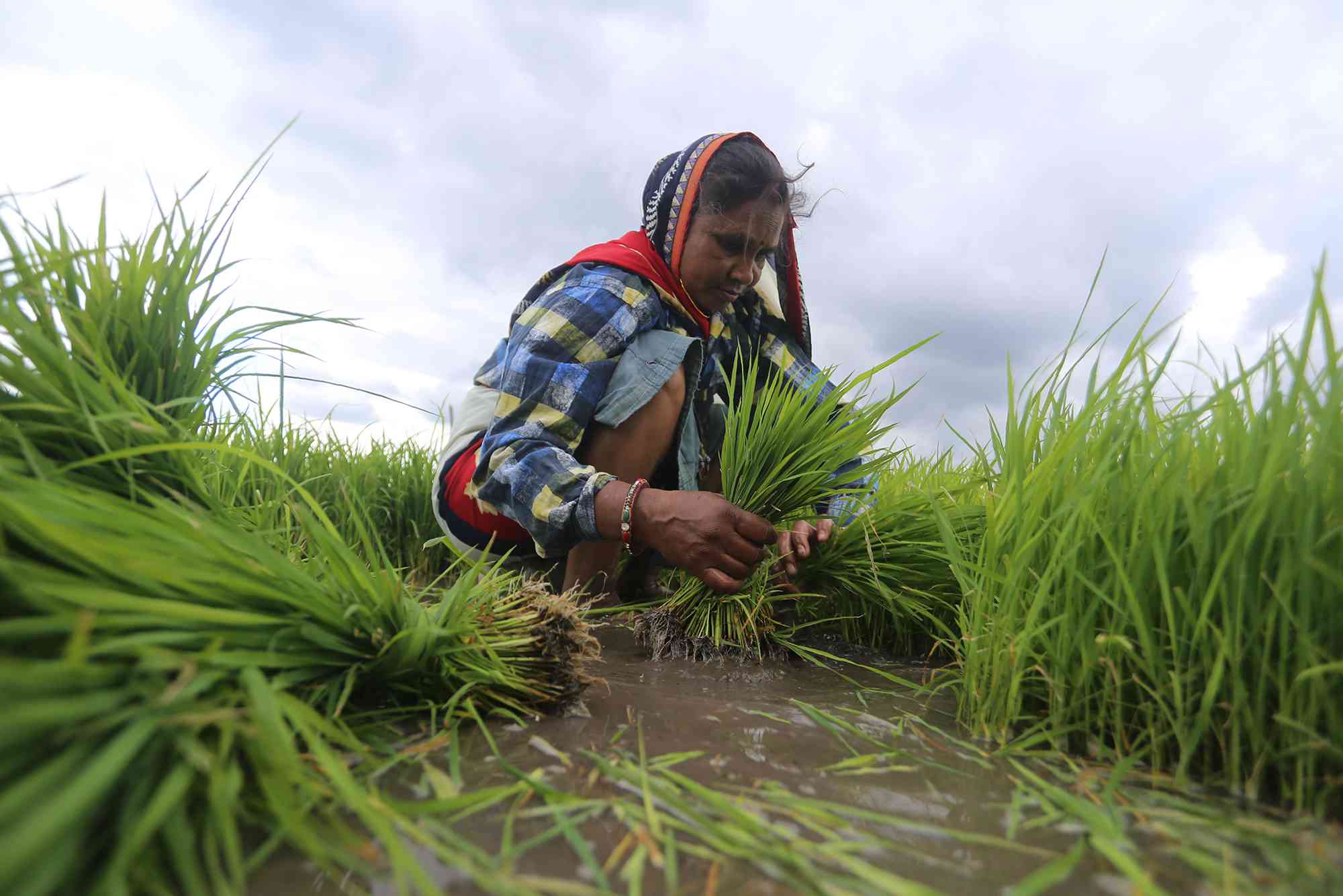 Explained: How Is Monsoon Affecting India’s Economy