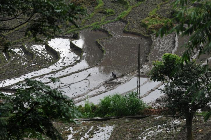 Explained: How Sikkim Became World’s First Organic State