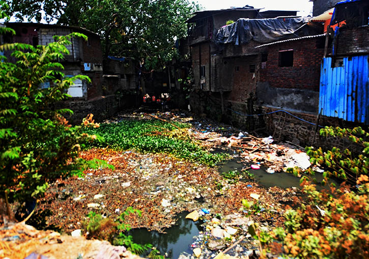 Explained: Why India Must Take Serious Measures To Manage Its Waste