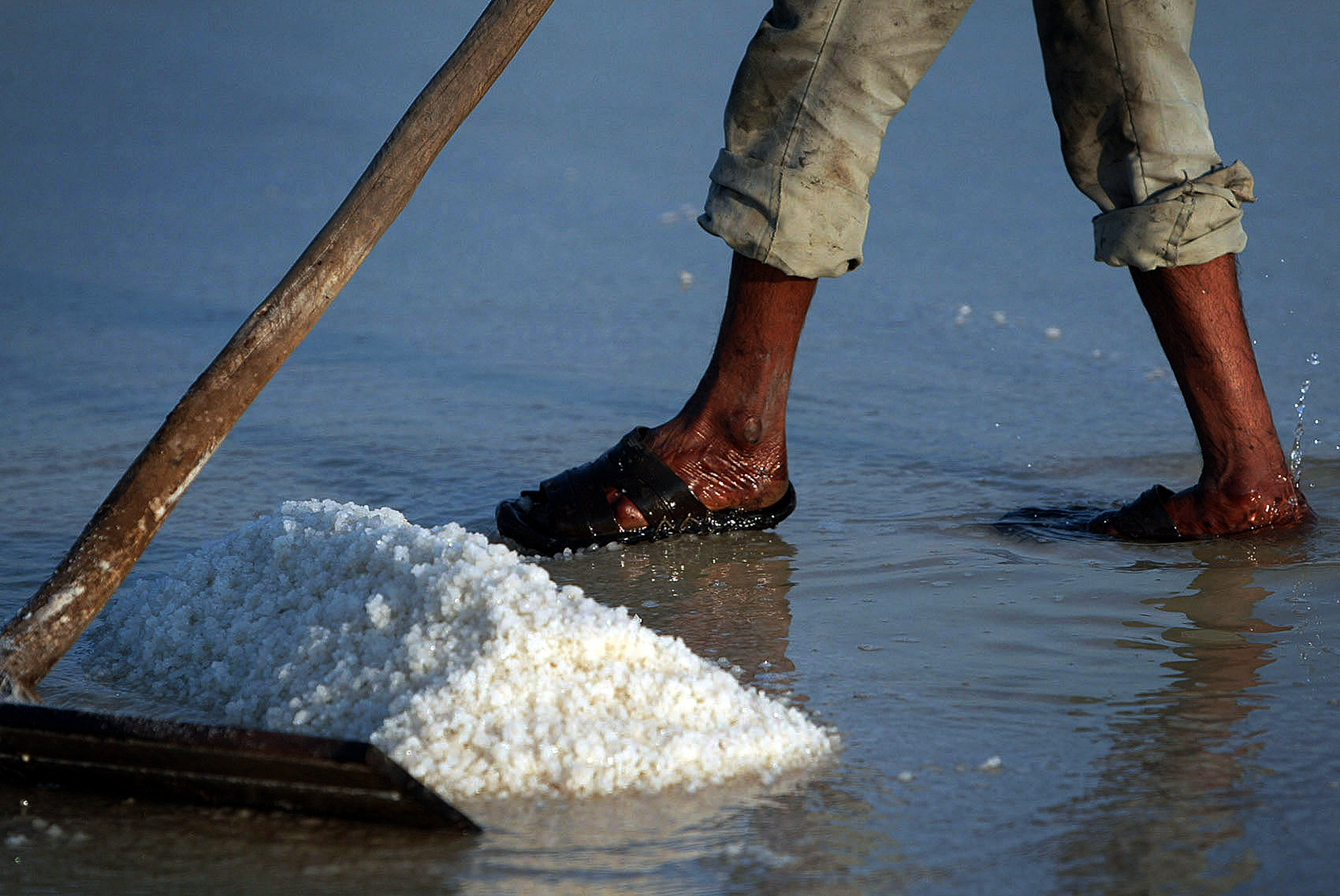 Explained: Why Indian Salt Industry is Facing Several Challenges and ...