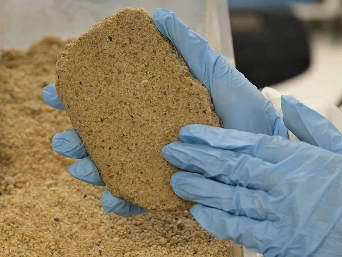 Eco-Friendly Cement Made From Mammal Urine And Trash Could Change The Game