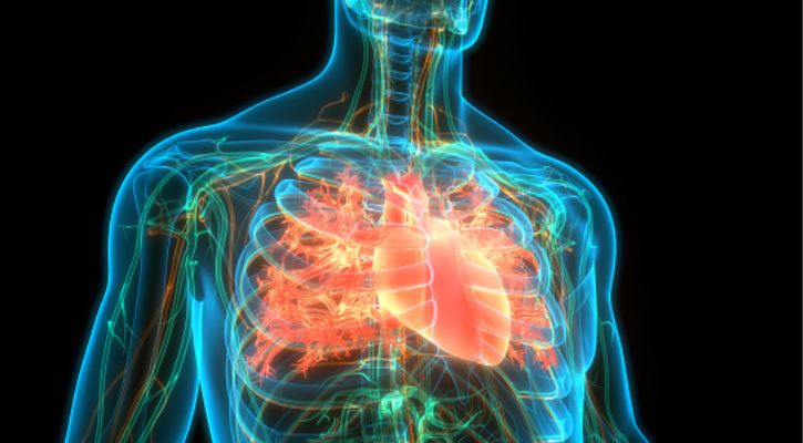 Scientists Develop A Special Gel That Can Heal Damage In The Human Heart