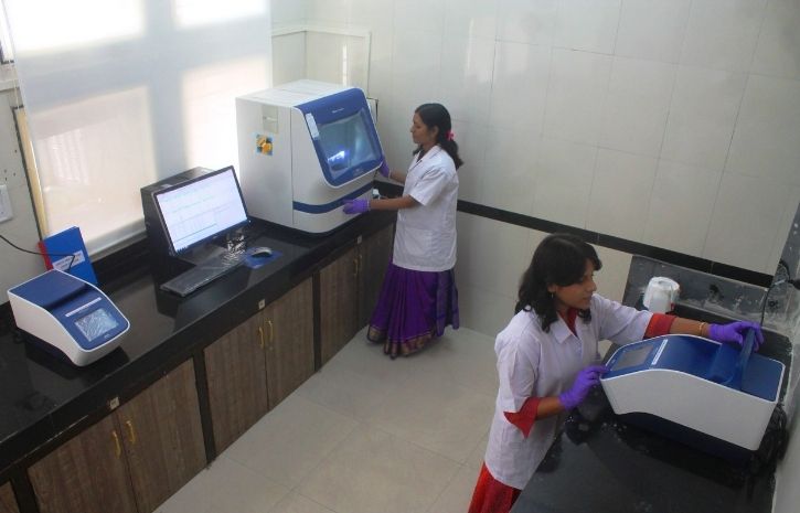 Explained: How DNA Testing Could Trace The 'Racial Purity' Of A Population