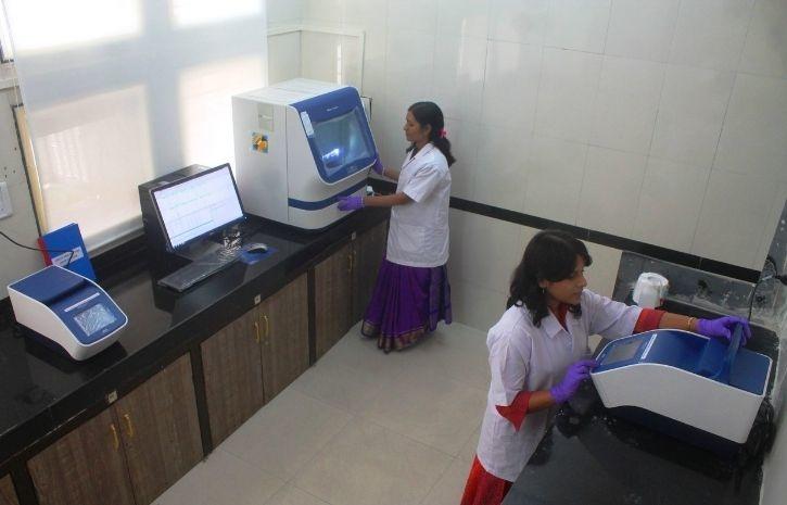 Explained: How DNA Testing Could Trace The 'Racial Purity' Of A Population