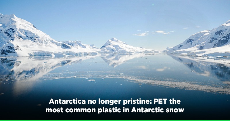 It's Snowing Microplastics In Antarctica: 13 Types Of Plastic Found In ...
