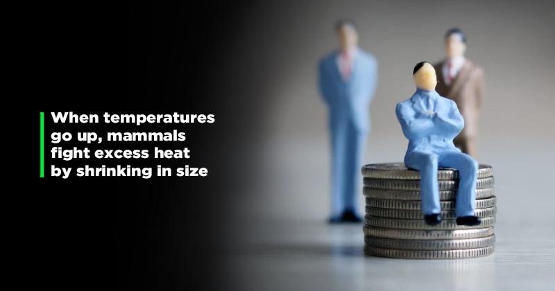 Climate Change Could Make Human Beings Shrink In Size: Here's Why