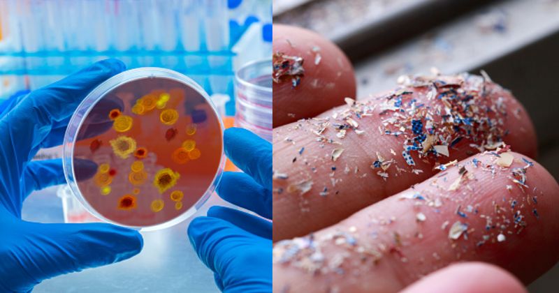 Dangerous Viruses Survive In Fresh Water By Binding With Microplastics ...