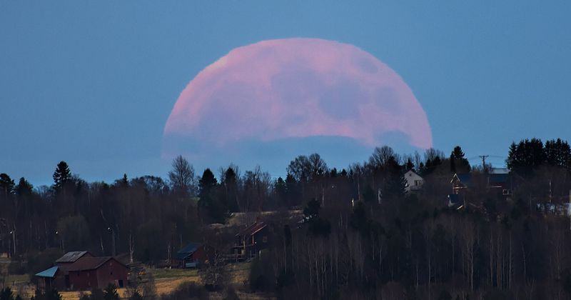 The World Will Be Treated To 'Strawberry Moon' On June 14: All You Need ...