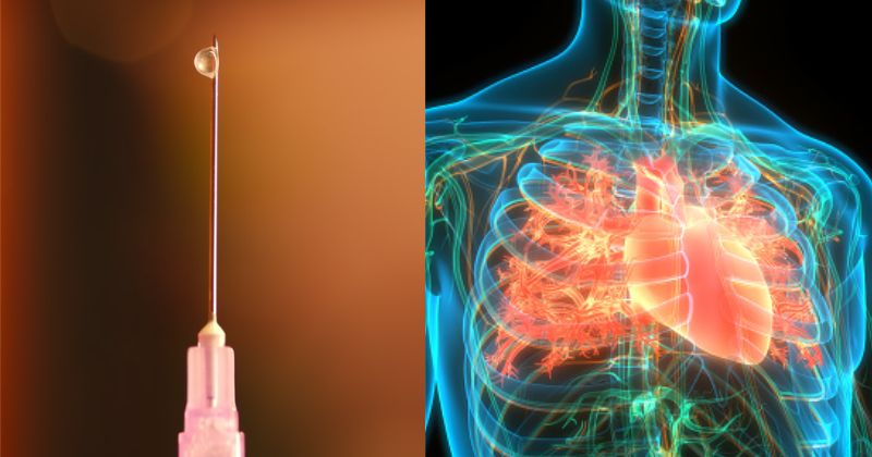 Scientists Develop A Special Gel That Can Heal Damage In The Human Heart