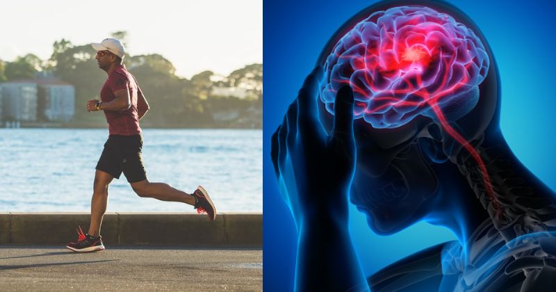 Flexible Brain? Walking Changed Frontal Lobe Function, Bettered ...