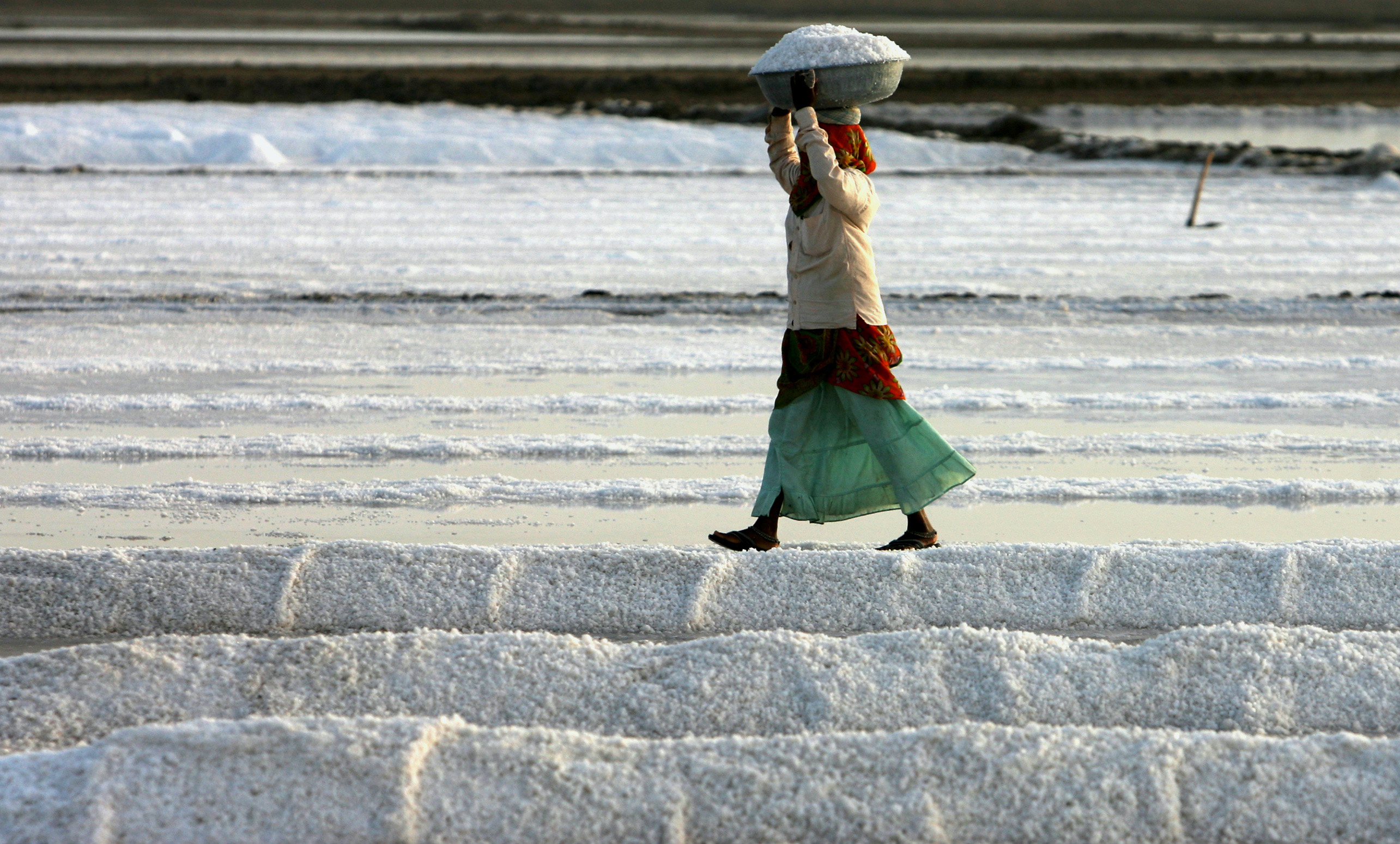 Explained: Why Indian Salt Industry is Facing Several Challenges and ...