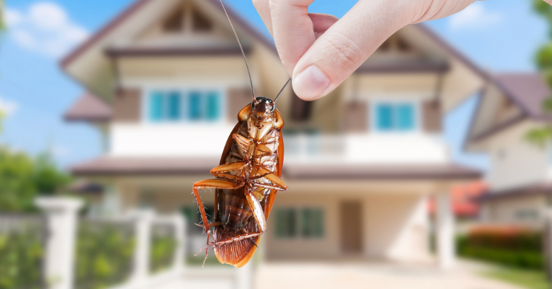 US Company Will Pay You Rs 1.5 Lakh If You Let Them Release 100 ...