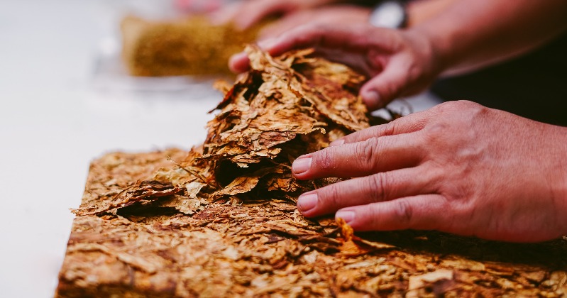 Battling Tobacco Addiction? Here Are 10 Ways To Resist Cravings And Say ...