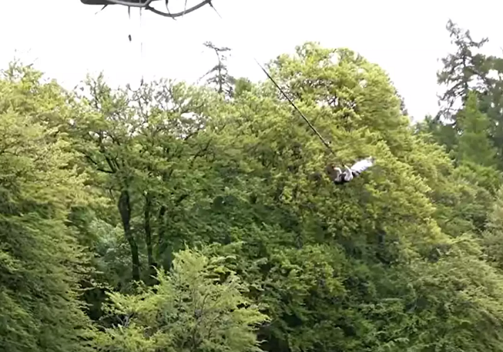 French Man Bungee Jumps From Bridge 765 Times In 24 Hours