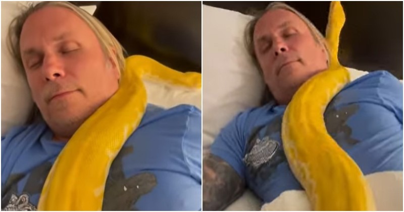 दो सांपों के साथ आराम से सोता दिखा एक शख्स, लोगों ने कहा- 'ये कैसी चैन ...