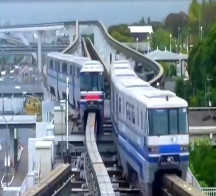 Watch: Viral Video Of Osaka, Japan's Train System