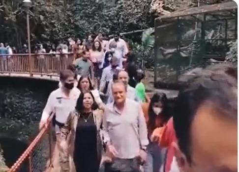 Mexico Footover Bridge Collapses After Being Inaugrated