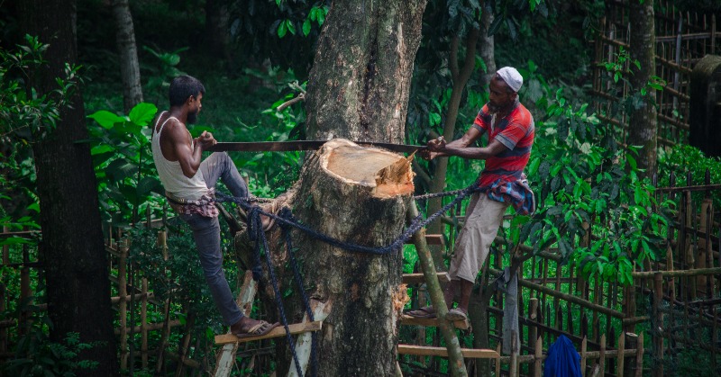 Explained: What Is The Hasdeo Arand Protest All About