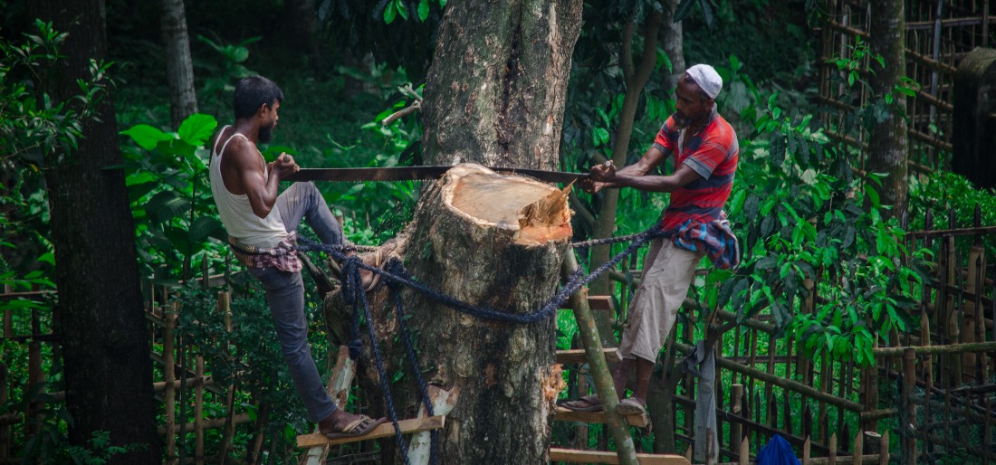 Explained: What Is The Hasdeo Arand Protest All About