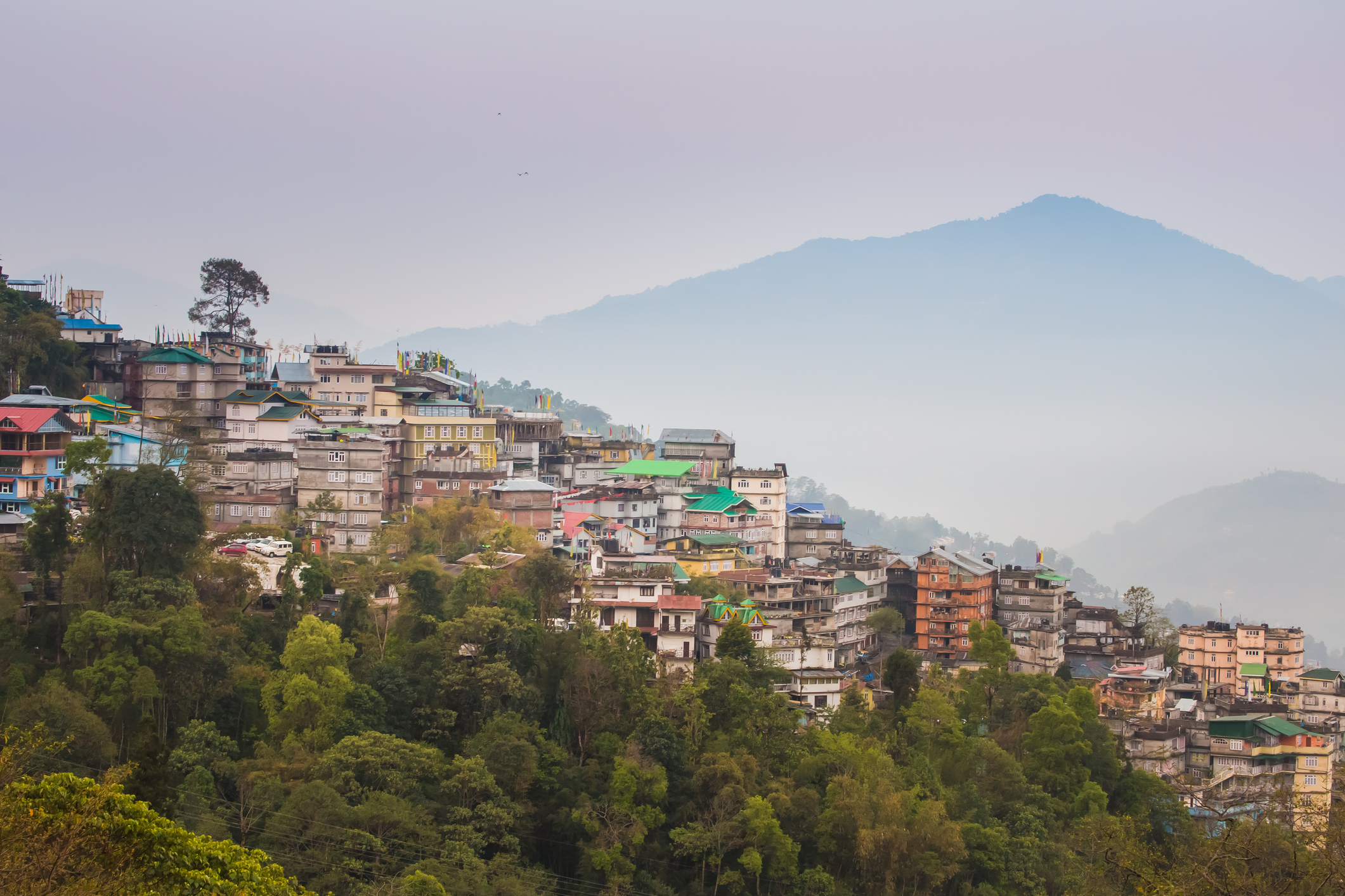 Explained: How Sikkim Became World’s First Organic State