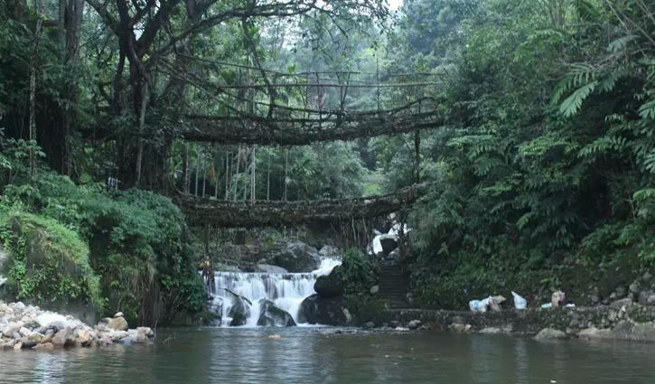 Proud Moment! Meghalaya's Root Bridges In UNESCO's Tentative List Of ...