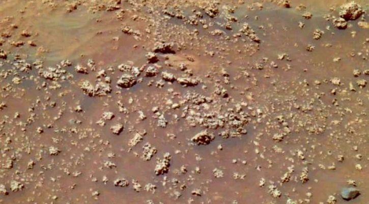 NASA Curiosity Rover Spots A Strange Flower-Like Object On Mars