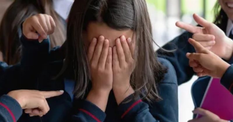 School Bullying Could Affect Child’s Skill Development And Damage Adulthood