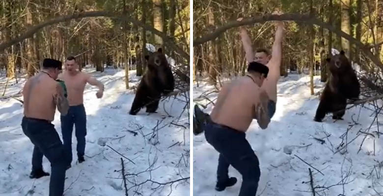 Two Men Workout In Jungle Along With A Bear