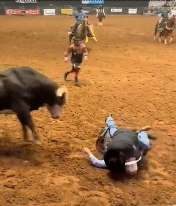 Hero Dad Saves Son From Raging Bull In Texas