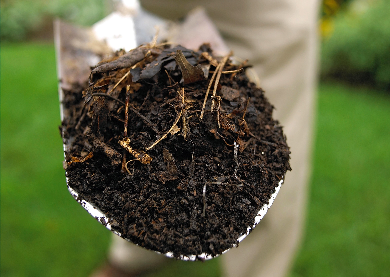 IIT Kanpur's Solar-Powered Compost Maker Can Process Kitchen Waste In ...