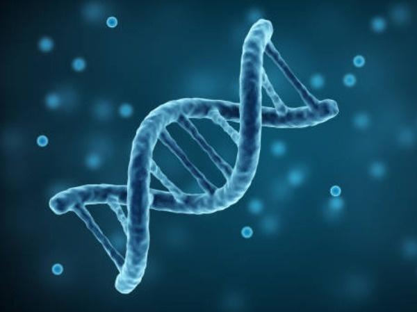 Scientists Created Self-Evolving RNA, Demonstrating How Life Began On Earth