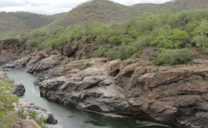 Explained: Mekedatu Project And Tension Between Tamil Nadu And Karnataka