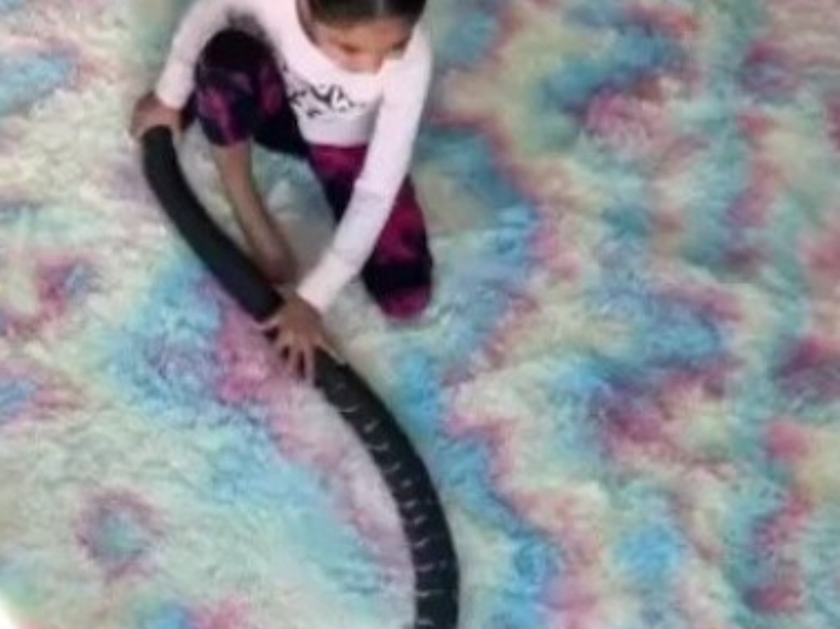 Little Girl Plays With Huge Python In Viral Video