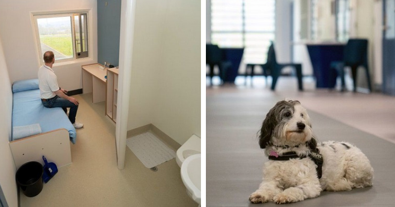 This UK Prison 'HMP Five Wells' Has Rules Like No Other